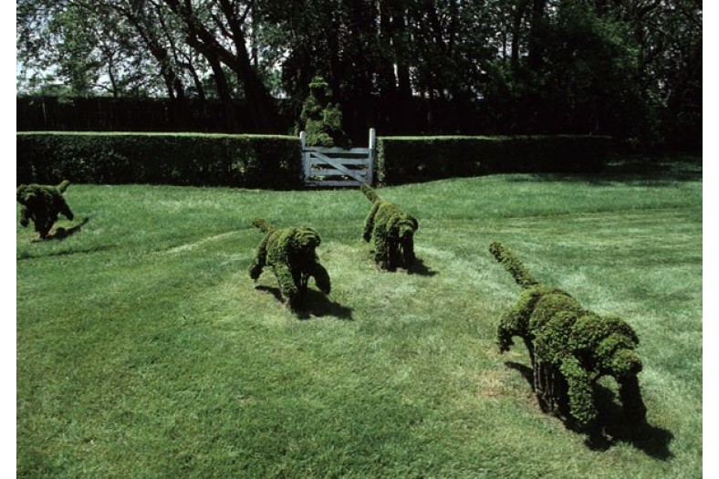 Ladew Topiary Gardens | SPACES Archives
